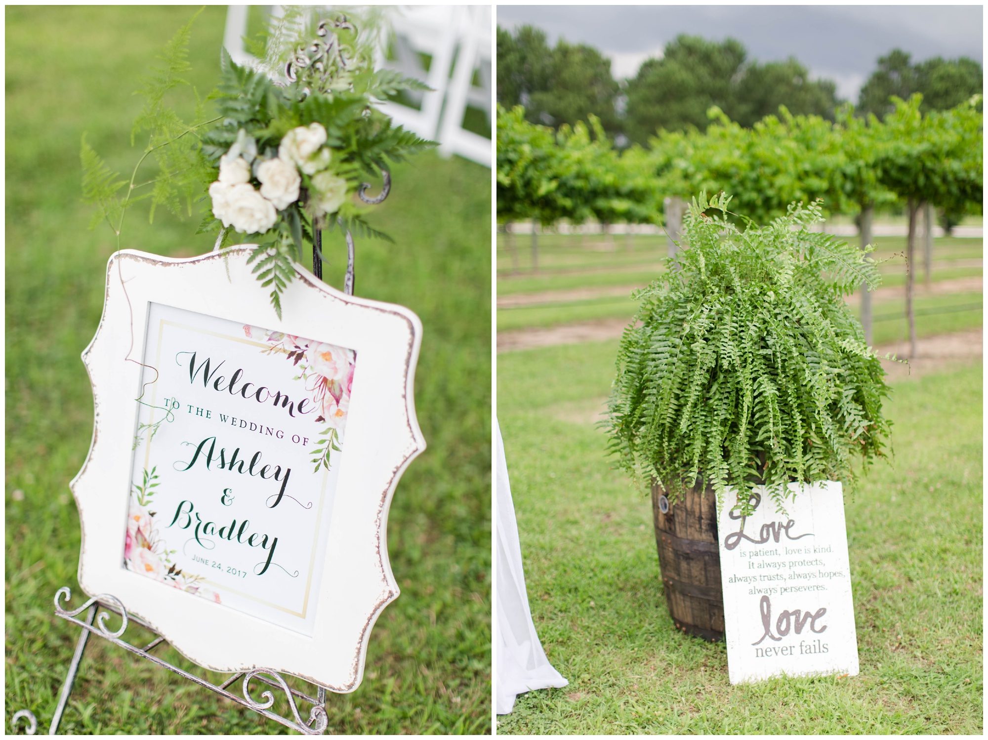 Duplin Winery Wedding in Rose Hill, NC | Ashley and Brad Millice ...